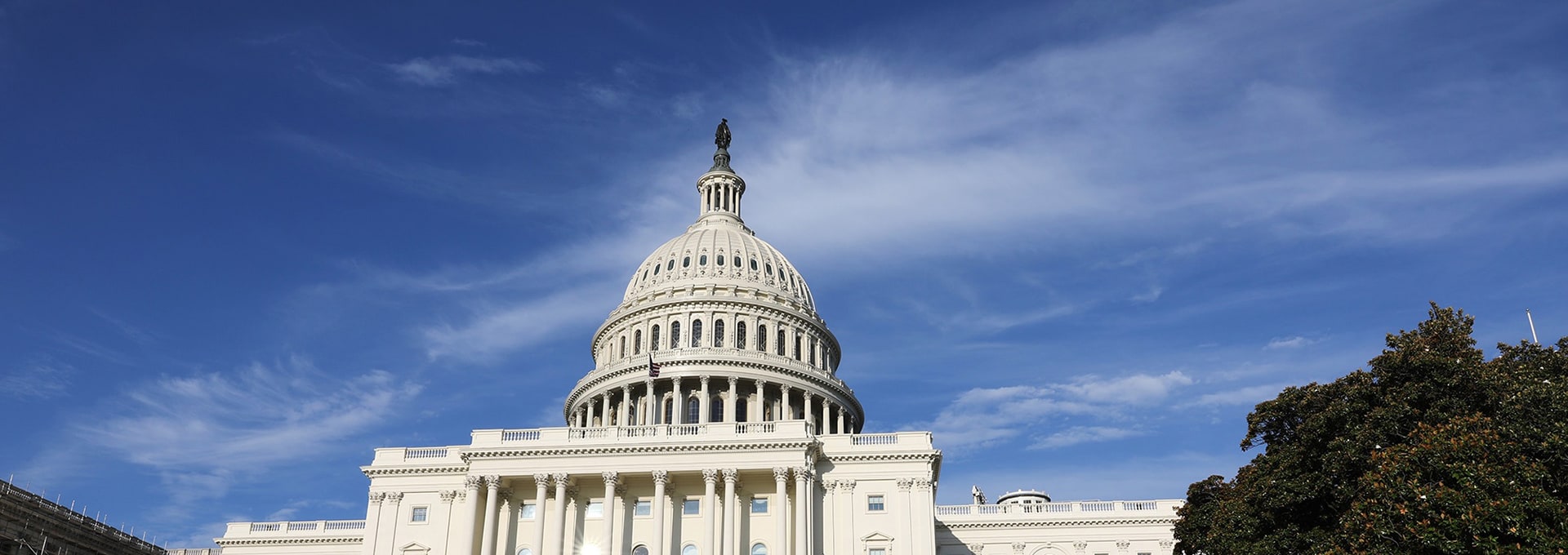 Political Science | Lee University